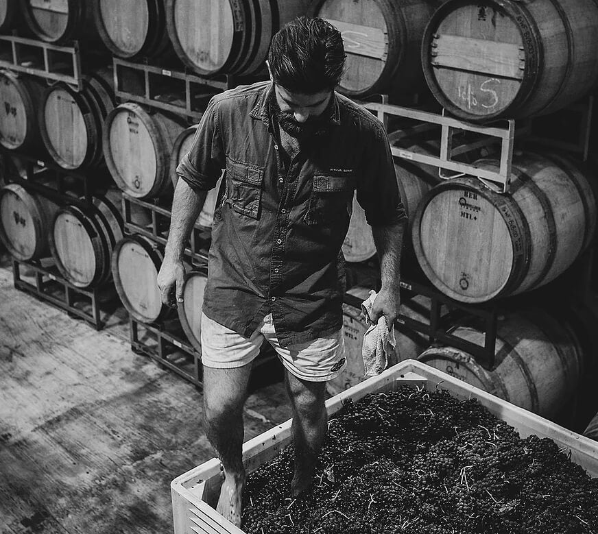 New Wave Arrivals - Yo El Rey – The Good Wine Shop