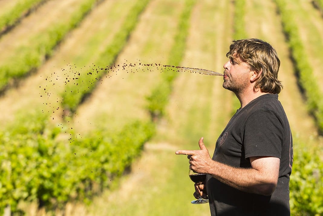 David Franz | The Good Wine Shop