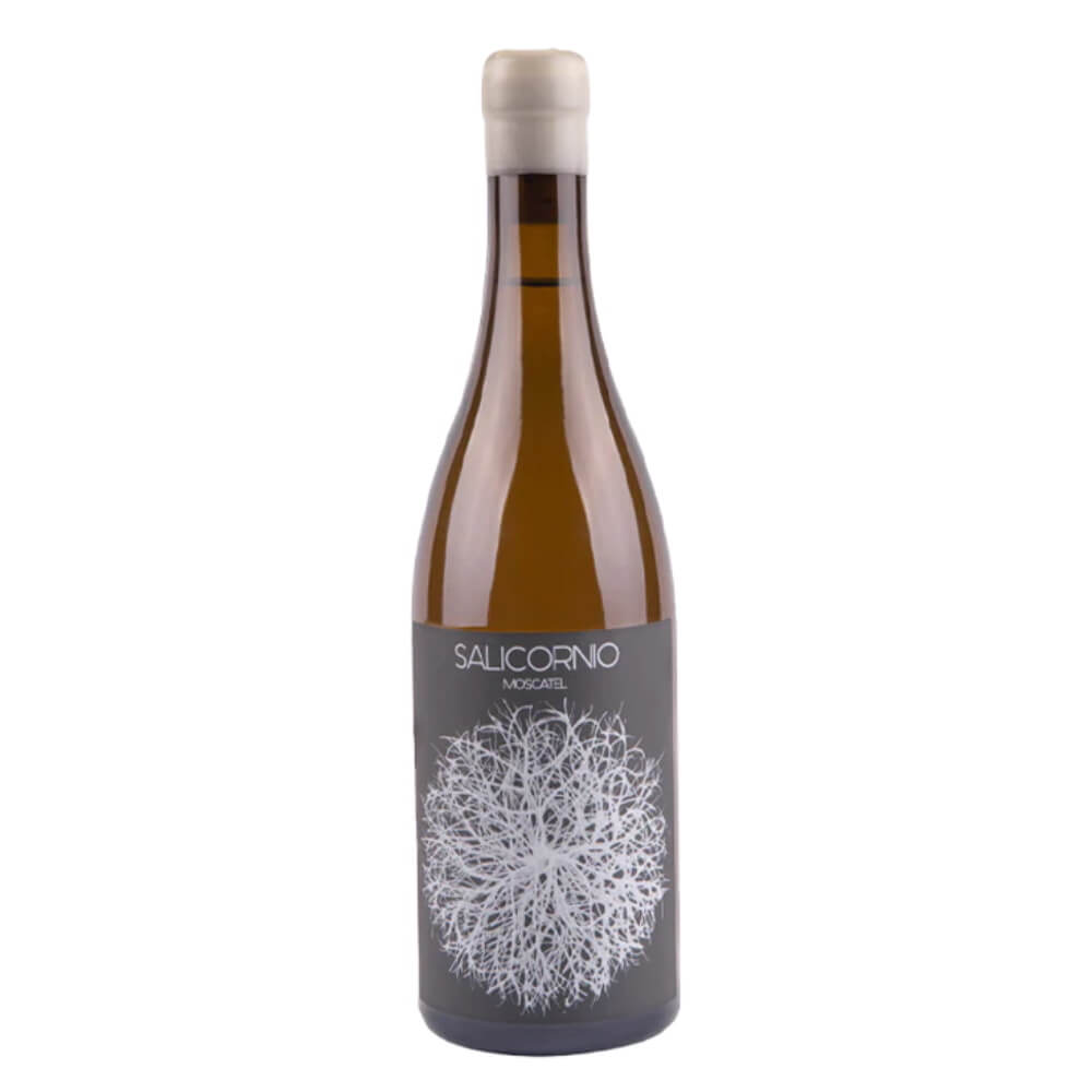 Casa Balaguer, Salicornio Moscatel | Spanish Wine | The Good Wine Shop